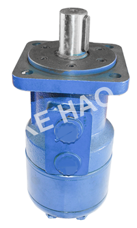 BM1-200 BM1-250 Cycloidal Gear Motor / Industry Excavator Pump Parts