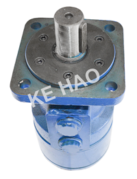 BM1-200 BM1-250 Cycloidal Gear Motor / Industry Excavator Pump Parts