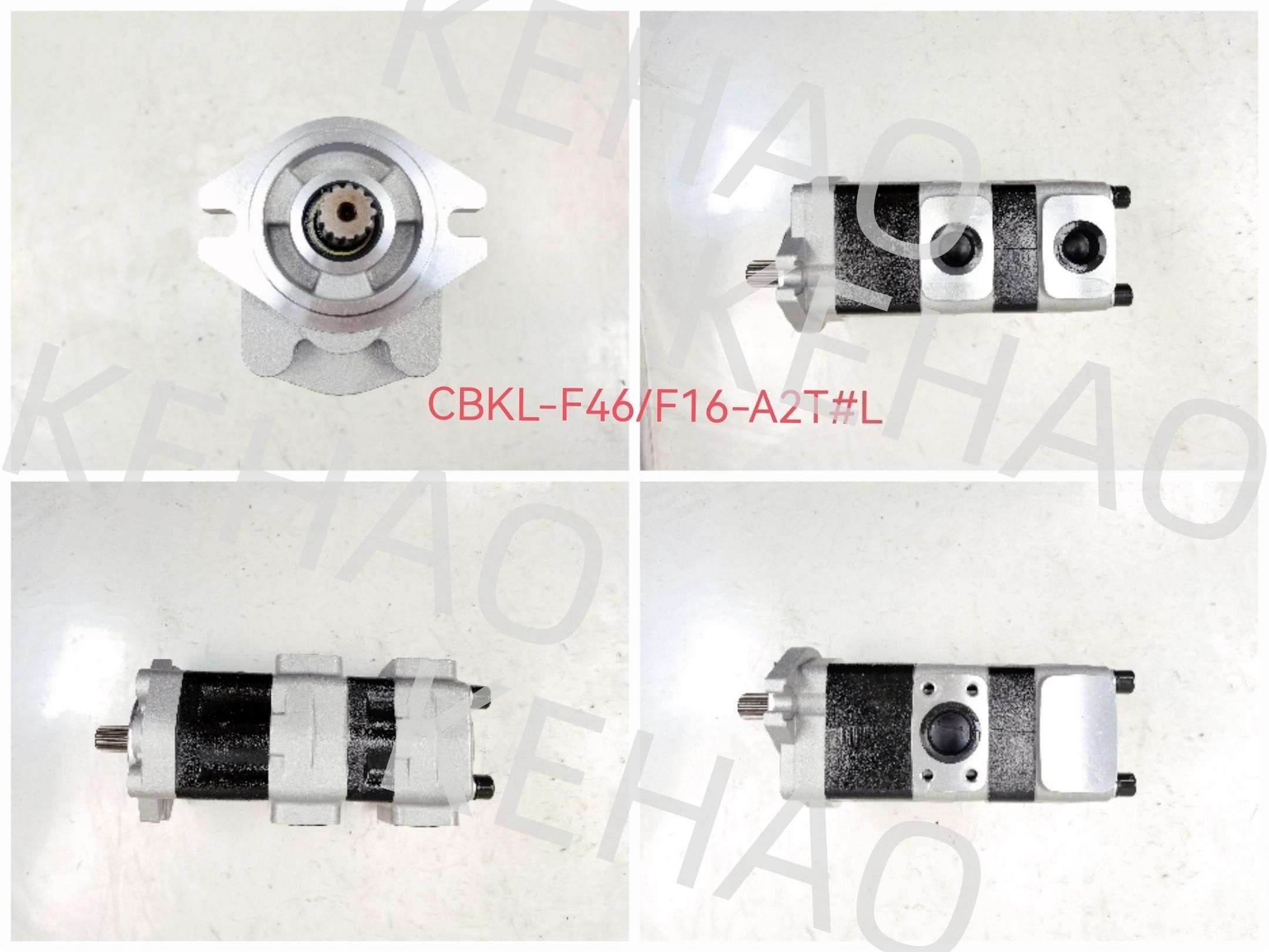 Hydraulic Gear Pump CBKL CBT CBH CBHZ CBHZD Series Gear Pump CBKL-F46 ...