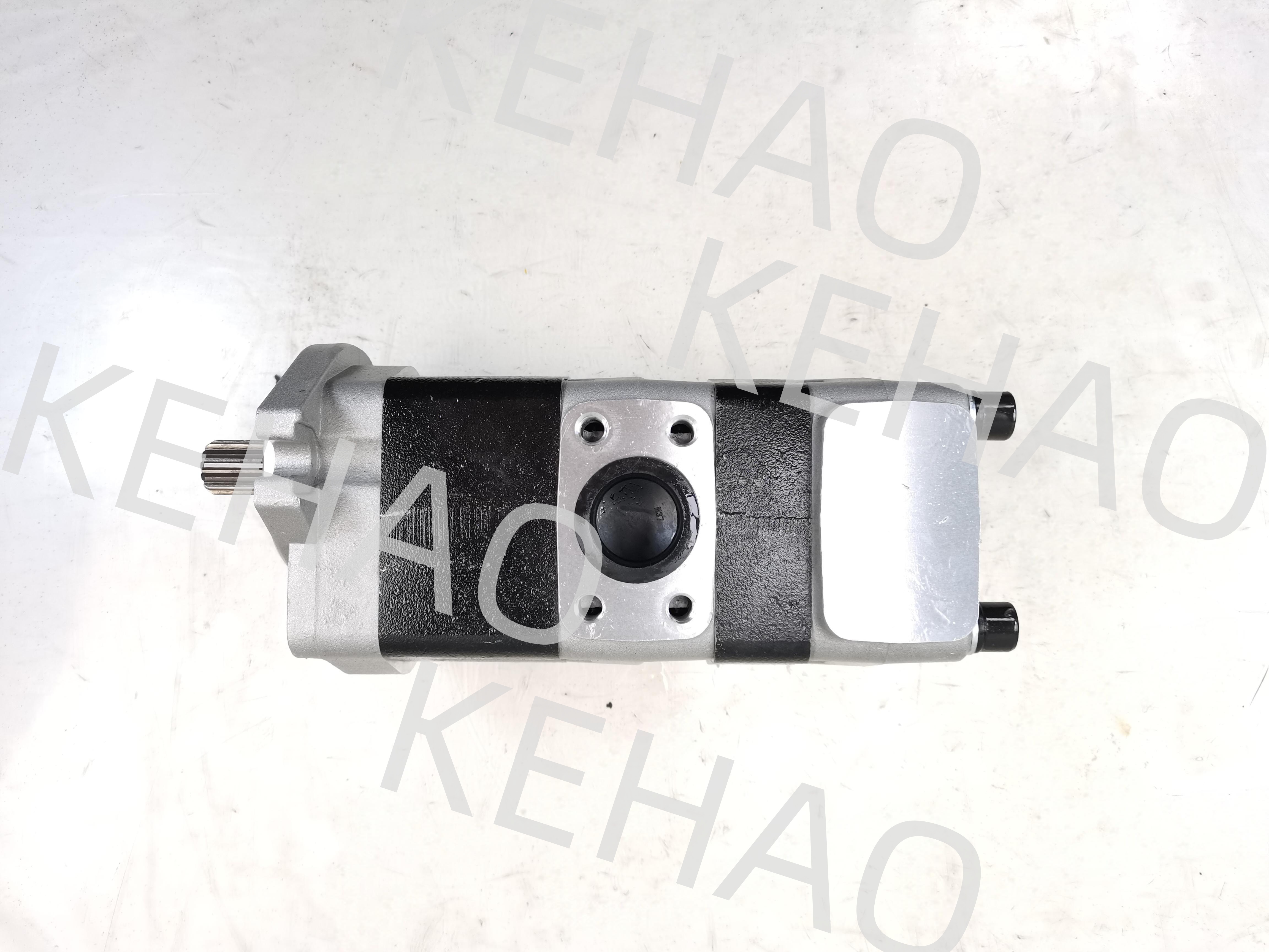 Hydraulic Gear Pump CBKL CBT CBH CBHZ CBHZD Series Gear Pump CBKL-F46 ...