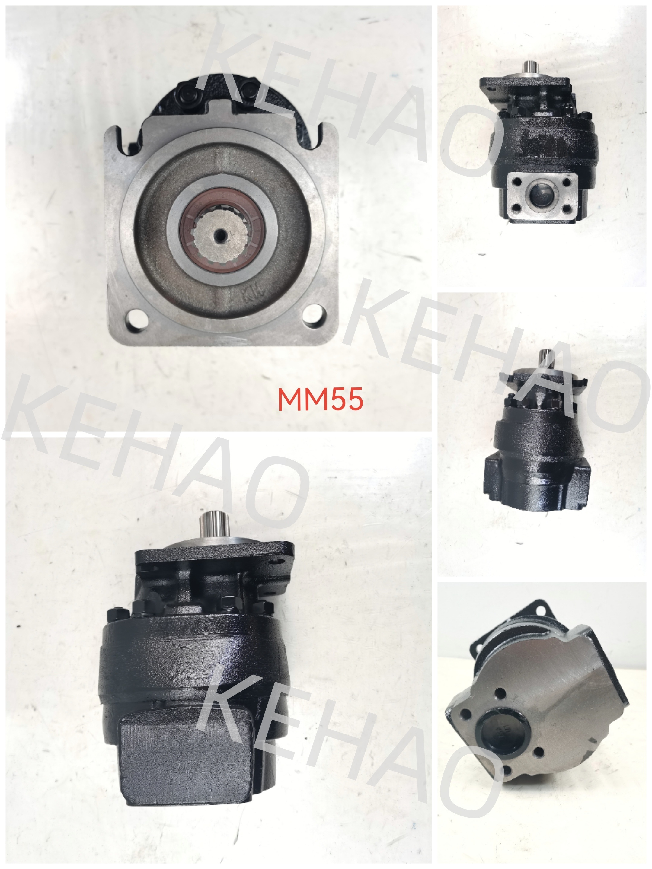 High Pressure Cast Iron Compact Original Hydraulic Gear Pump MM55 with ...