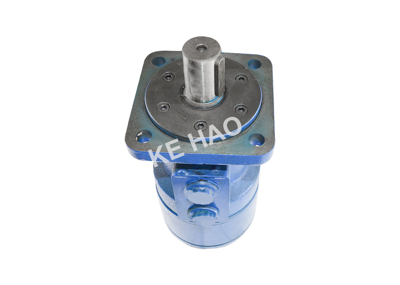 Cycloidal Motor BM1 -50 BM1-80 BM1-100 BM1-125 BM1-160 BM1-200 BM1-250 ...